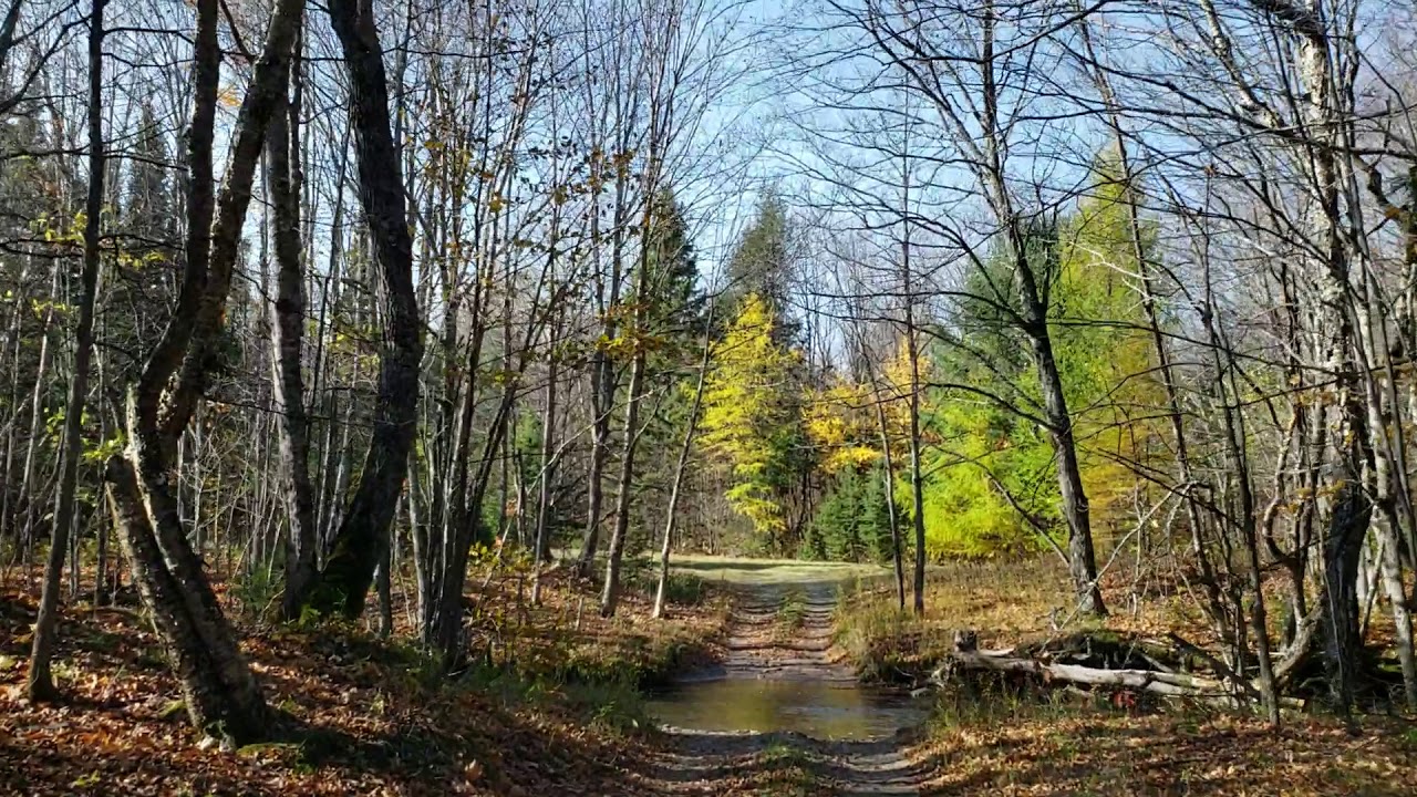 Fording a River - YouTube