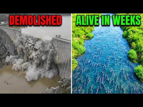 France Demolished Europe's Biggest Dam — A Dead River Came Back to Life In Weeks