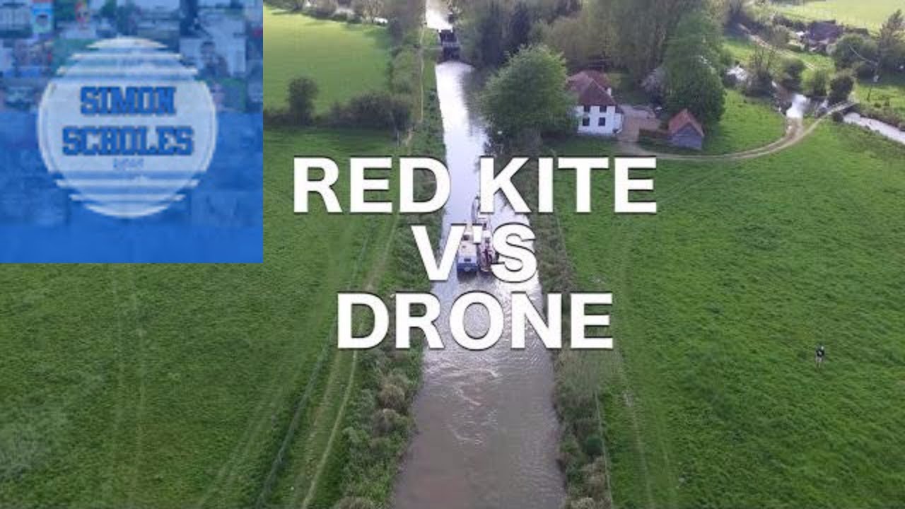 RED KITE V'S DRONE - YouTube