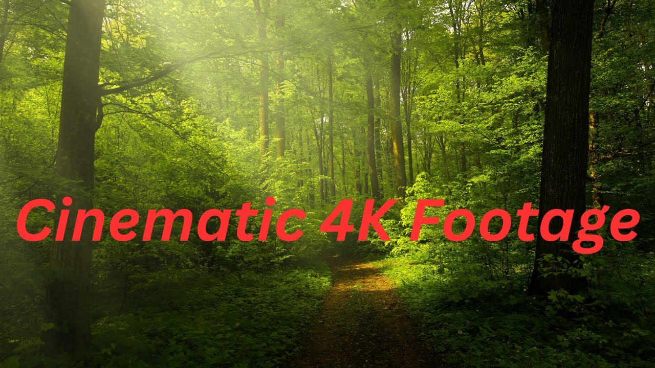 Cinematic 4K Footage - YouTube