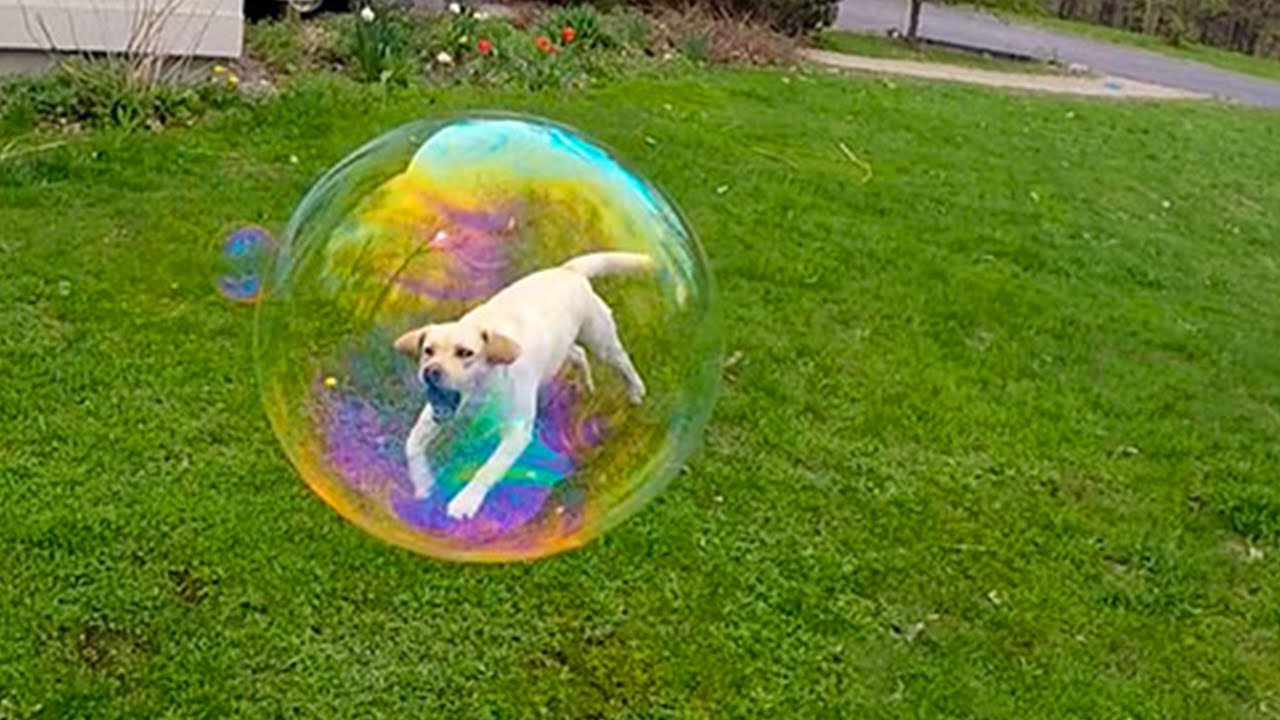 perfectly timed images | 3 - YouTube
