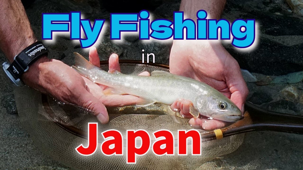 Fly Fishing in Japanese Mountain Streams - YouTube