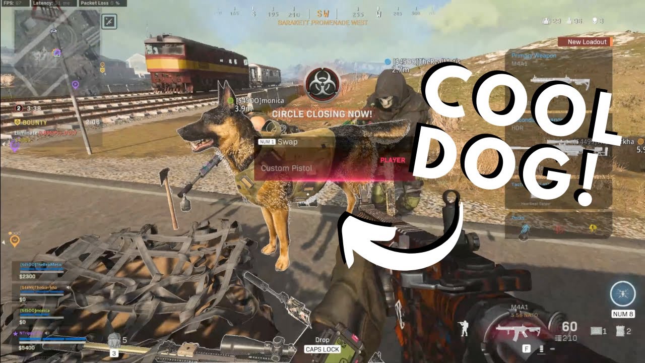 COOL DOG! - WARZONE Highlights #8 - YouTube