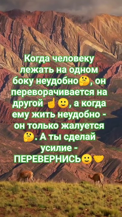 жизнь Сделай это👍Сделай усилие🙌 правда Motivation успех цитаты