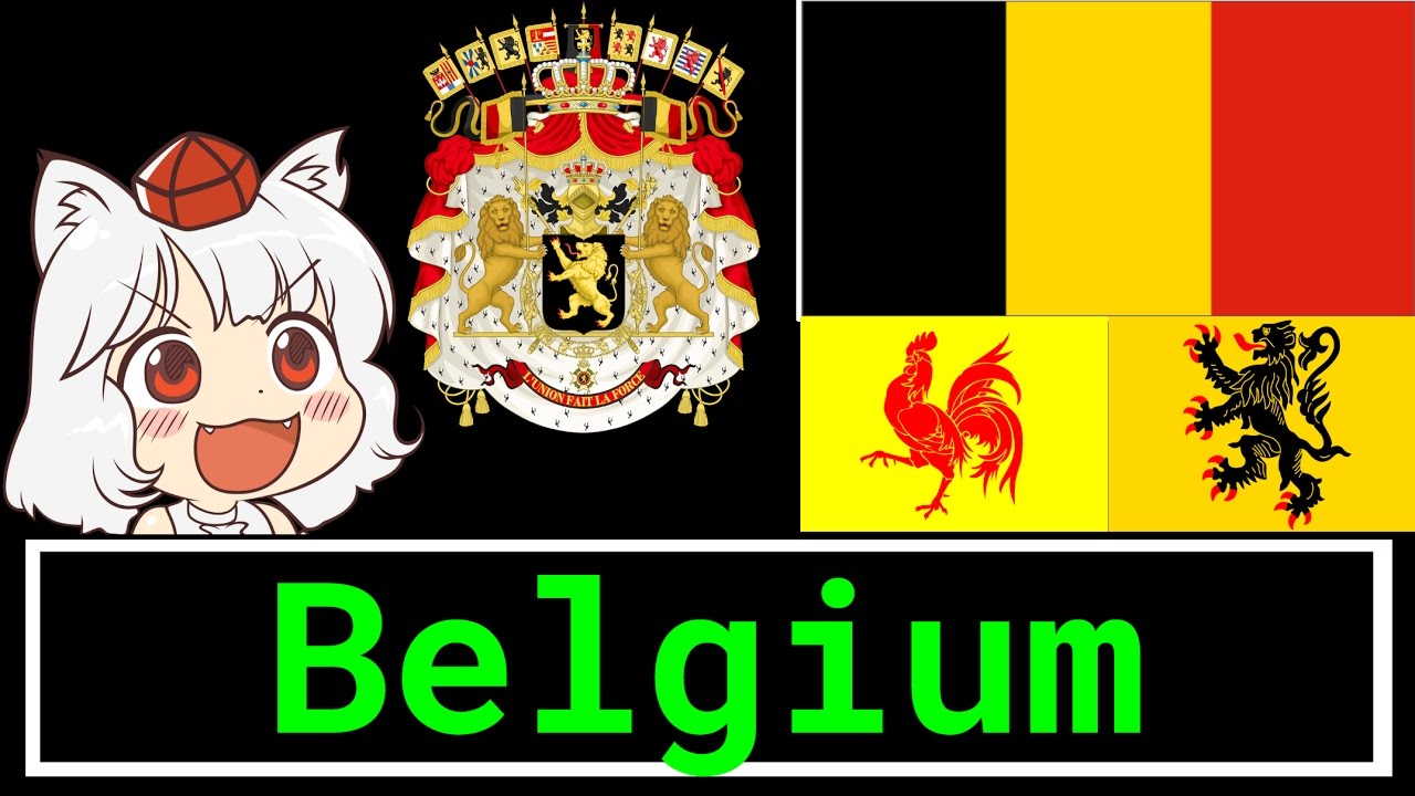 Everything Geography: Every Belgium Flag, Flanders, Brussels, Wallonia ...