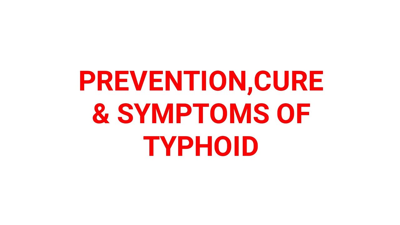 How to cure and prevent TYPHOID - YouTube