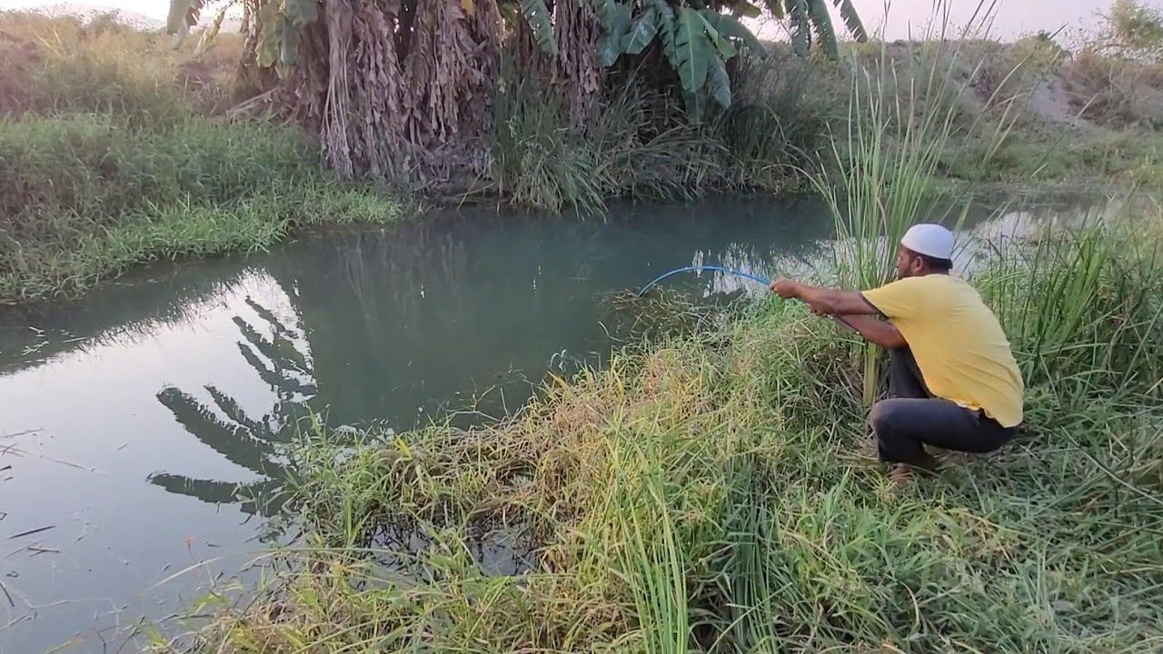 "VILLAGE Life: CATCHING THE Elusive INDIAN EEL "A DAY IN THE Life ...