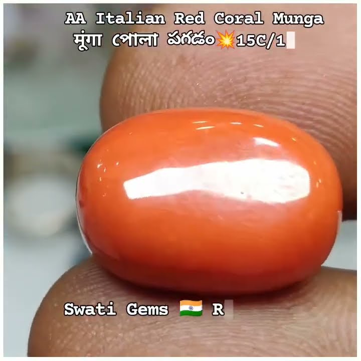 Rs.1200/CARAT💥 15.85 Cts AA ITALIAN MUNGA RED CORAL मूंगा ପ୍ରବାଳ ପୋହୋଳା ...