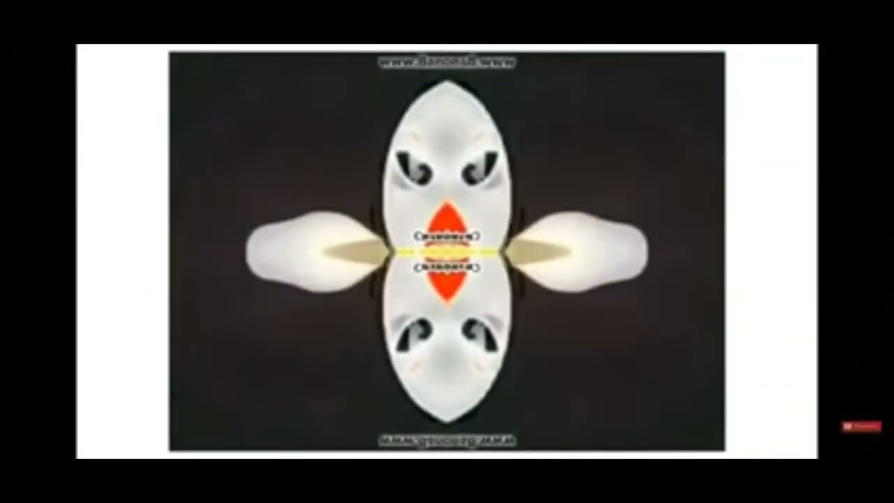 pingu outro fast major 6x speed effects 6 - YouTube