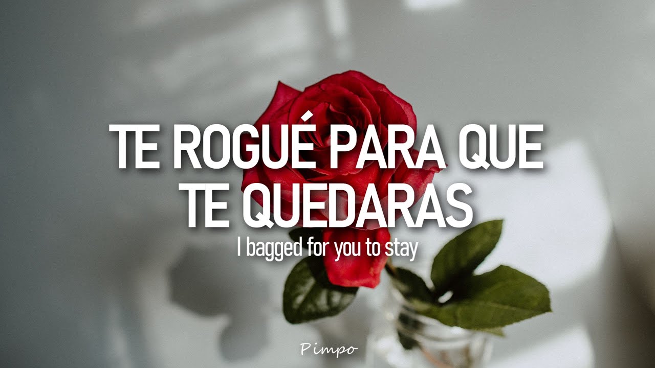 Nevertel - No Reverse (Sub. Español / Inglés) - YouTube