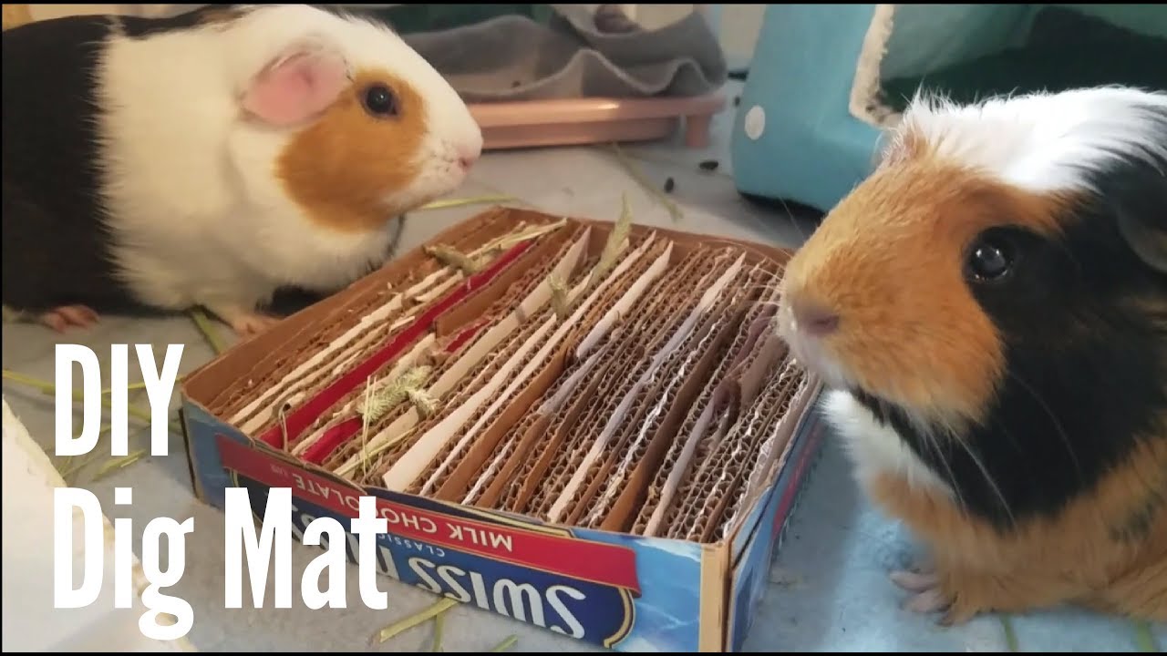 DIY Dig Mat - YouTube
