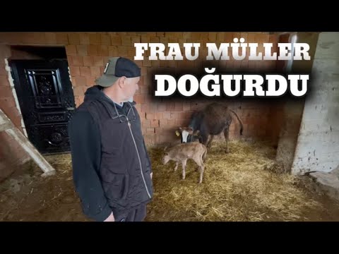 ANNE ALMAN,YAVRUSU YERLİ VE MİLLİ 