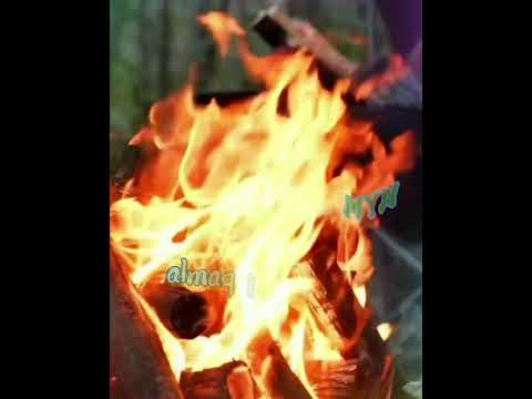 #Yaprak çamlıca - sakla kalbini
