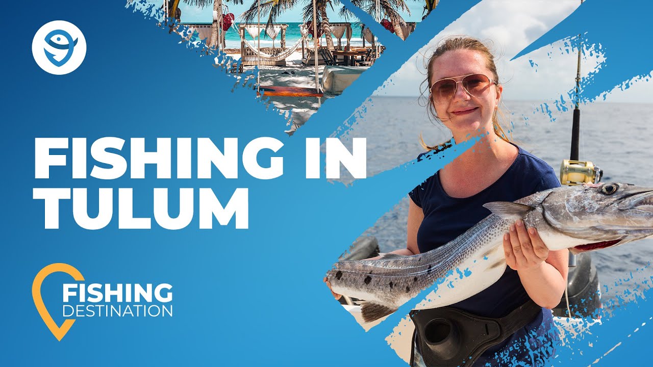 Fishing in Tulum: All You Need to Know - YouTube