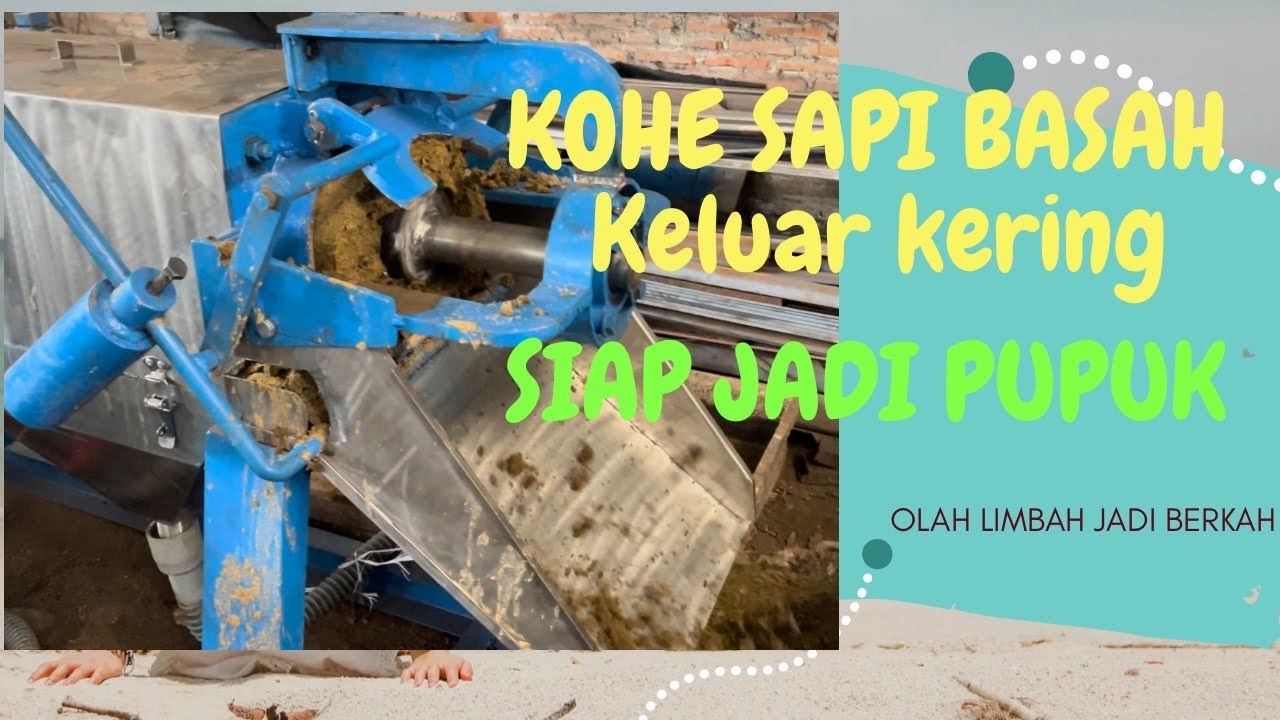 KOHE SAPI BASAH LANGSUNG KERING || MESIN SEPARATOR KOTORAN SAPI ...