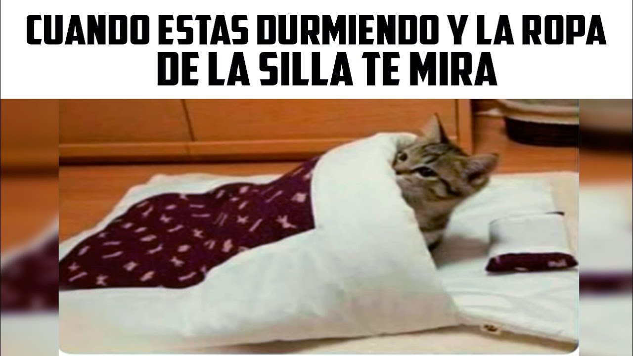 MEMES #55 - YouTube
