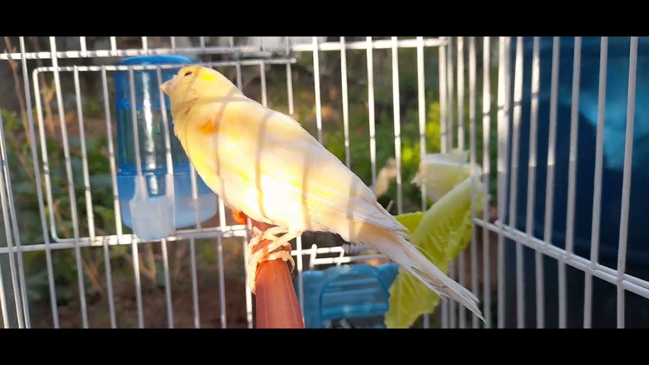 27 mai 2023 - YouTube