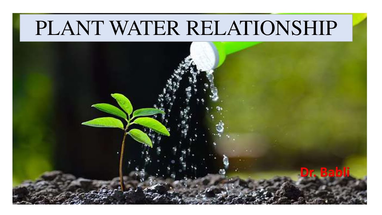 PLANT WATER RELATIONSHIP: PART-1#JRF_SRF_AGRONOMYNET_B.Sc.AGRICULTURE ...