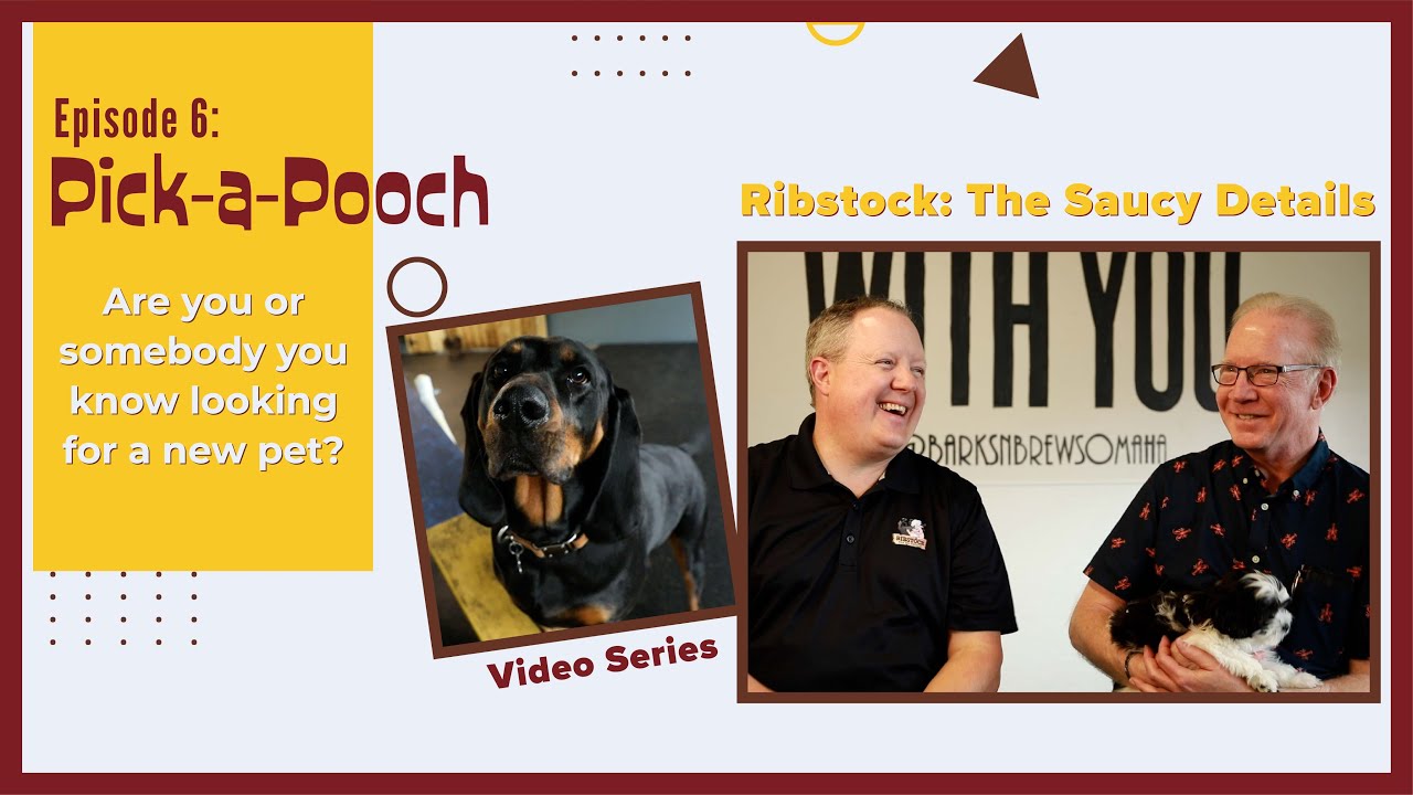 Ribstock: The Saucy Details, Episode 6 – Pick-a-Pooch - YouTube