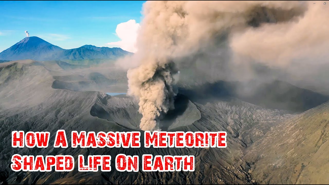 How A Massive Meteorite Shaped Life On Earth - YouTube