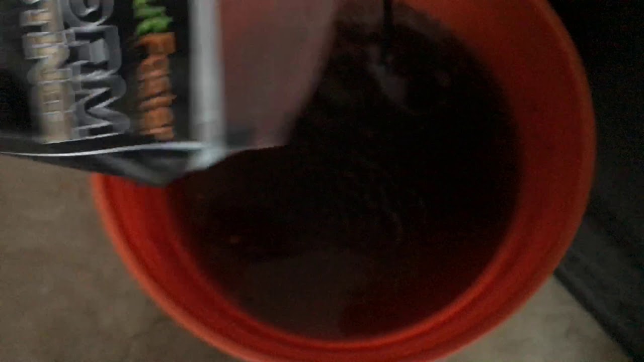 Cannabis marijuana worm castings - YouTube