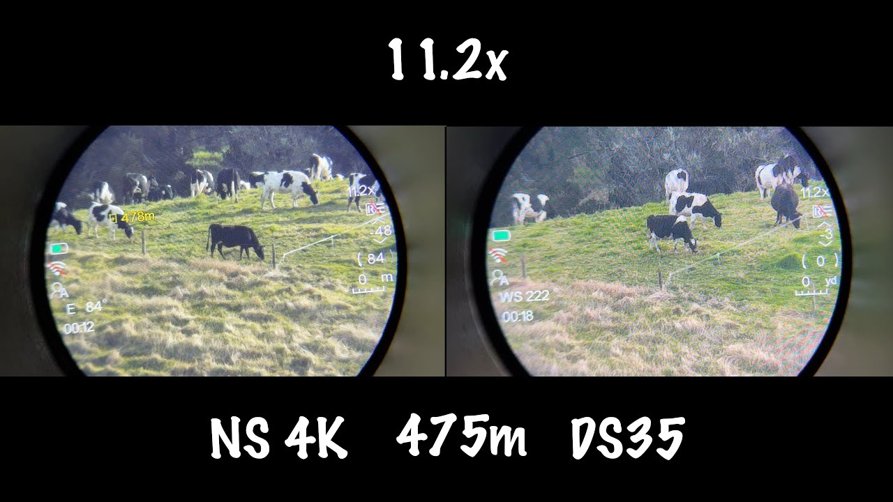 PARD Night Stalker 4K vs the PARD DS35 - YouTube