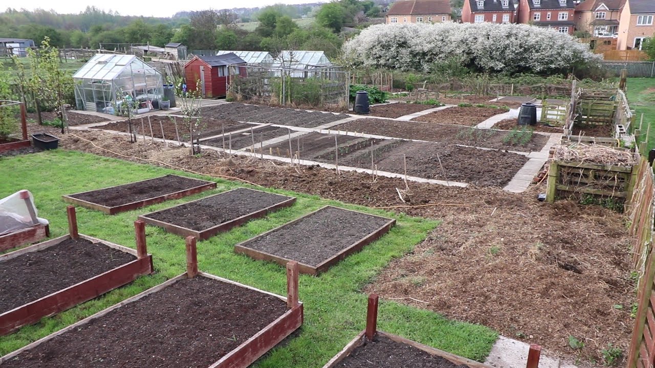 Allotment Days #88 Returning to the No Dig Allotment - YouTube