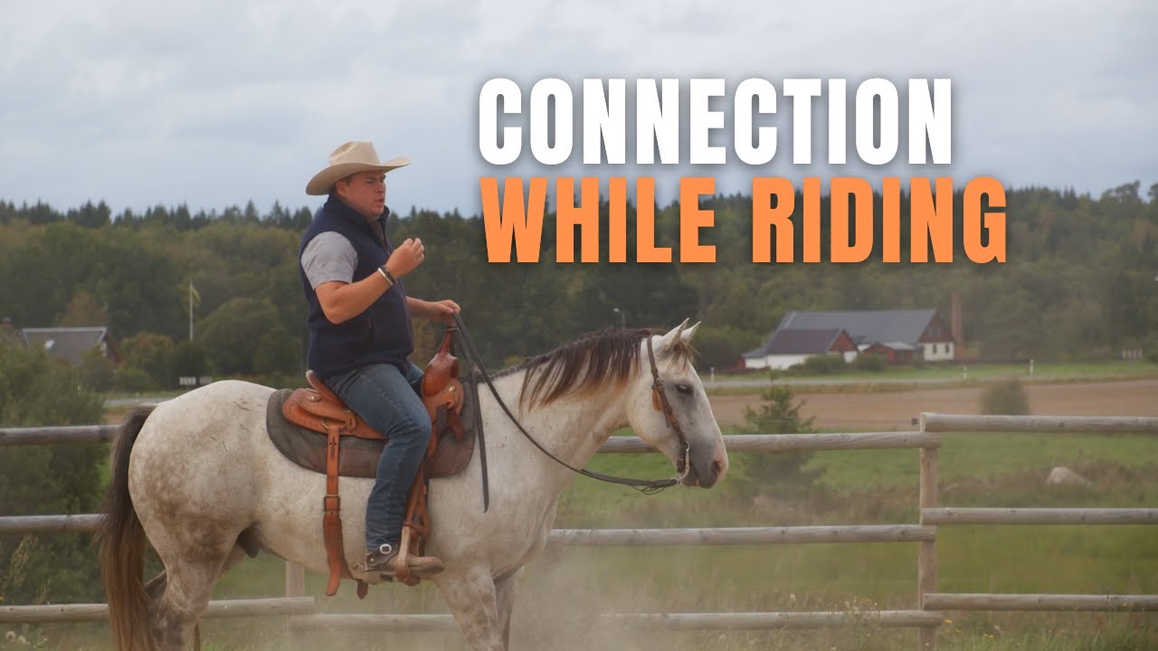 Mastering Rider-Horse Connection: Key Techniques - YouTube