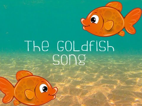 The Goldfish Song - YouTube