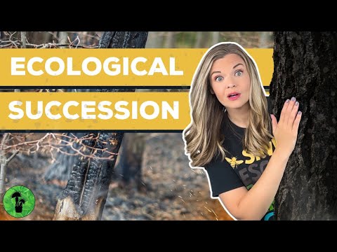 Ecological Succession | Primary & Secondary