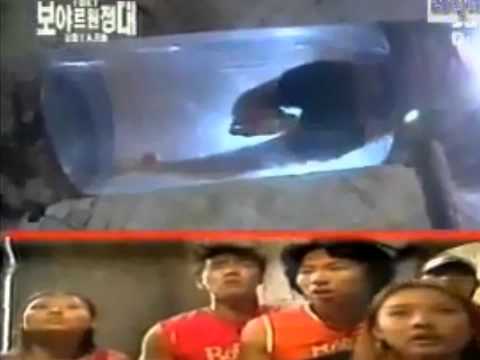 son tae young fort boyard.wmv