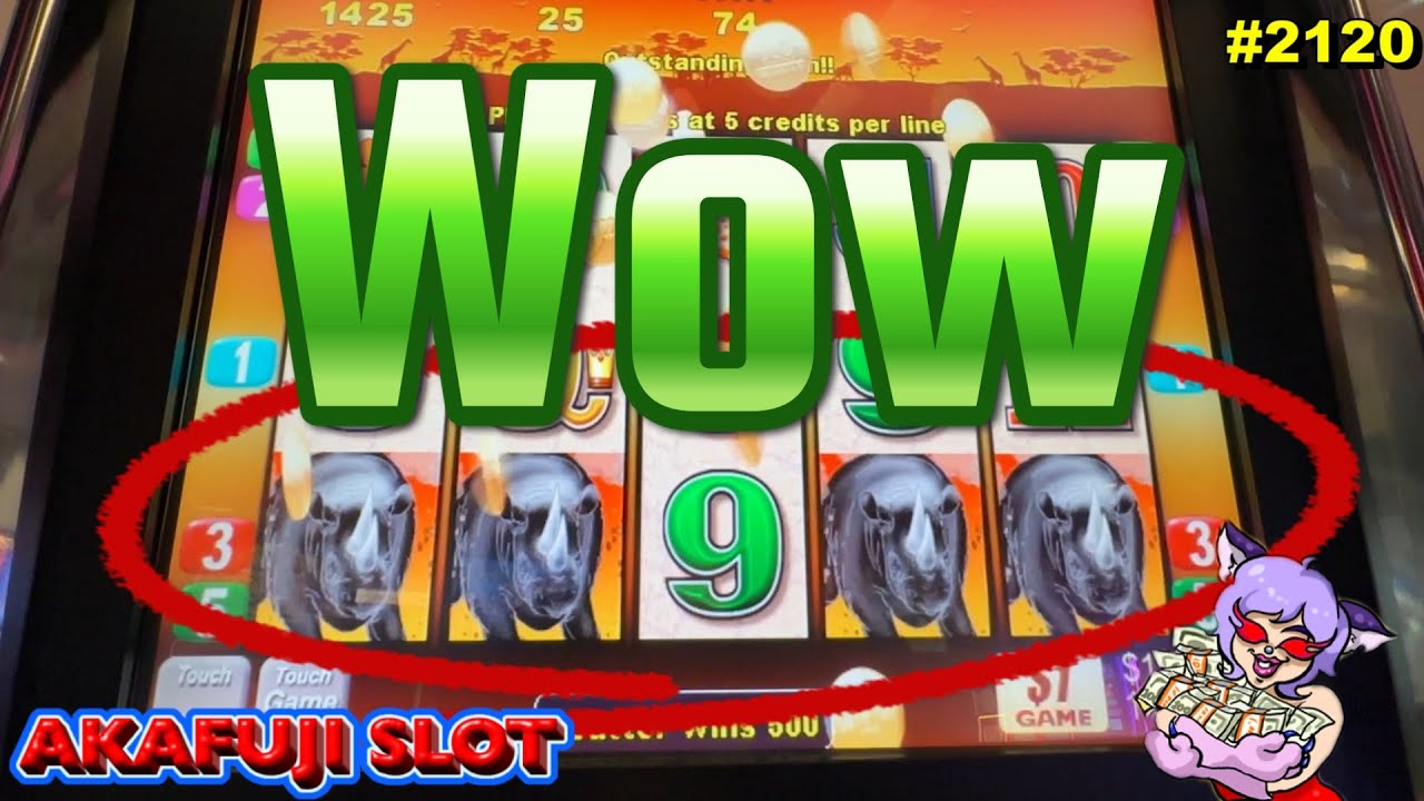 Better than Jackpot WILD AFRICA slot Machine at Pala Casino - YouTube
