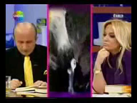 Yaşar Nuri Öztürk,Saba Tümer.Kur'an Tefsiri - 2 • Bakara Suresi 1