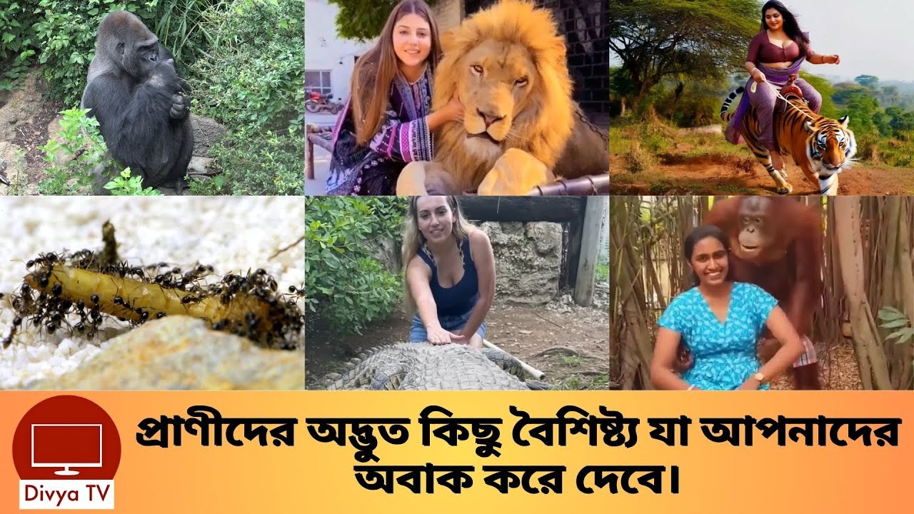 পৃথিবীর অদ্ভুত বৈশিষ্ট্যর ৯টি প্রাণী দেখুন। Characteristics Of Animals ...
