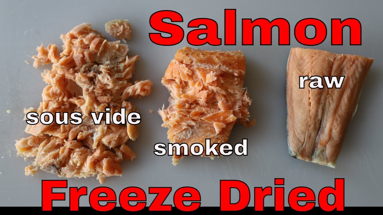Freeze Dried Salmon🐟 Cooked 4 Different Ways & Rehydration! # ...