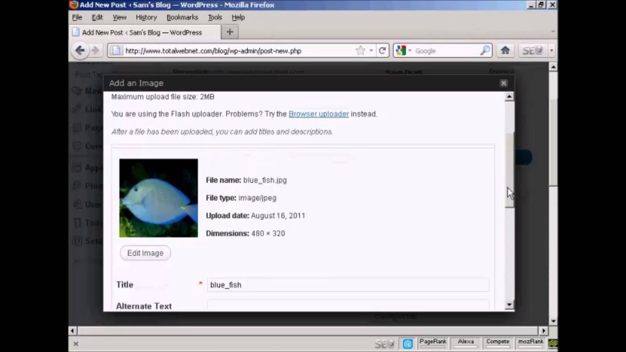 How To Insert And Format Images YouTube How To Insert And Format Images YouTube
