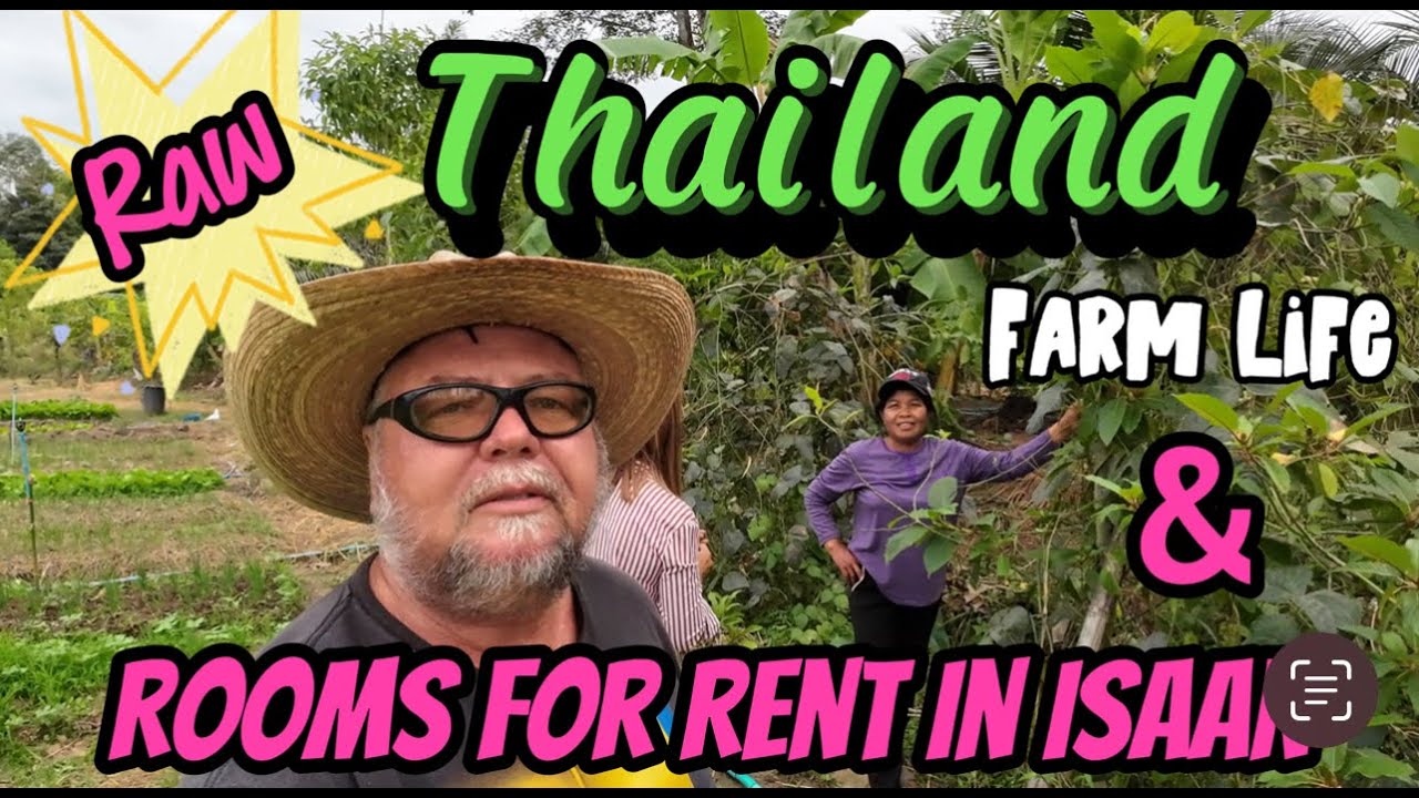 Raw Thailand Farm Life And Rooms For Rent In Isaan - YouTube