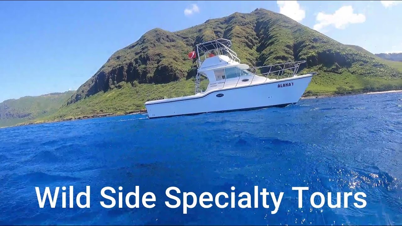 Wild Side Specialty Tour - Best of the West charter - YouTube