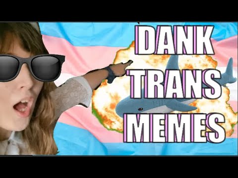 REACTING TO DANK TRANS MEMES FOR THE ALGORITHM LOL - YouTube