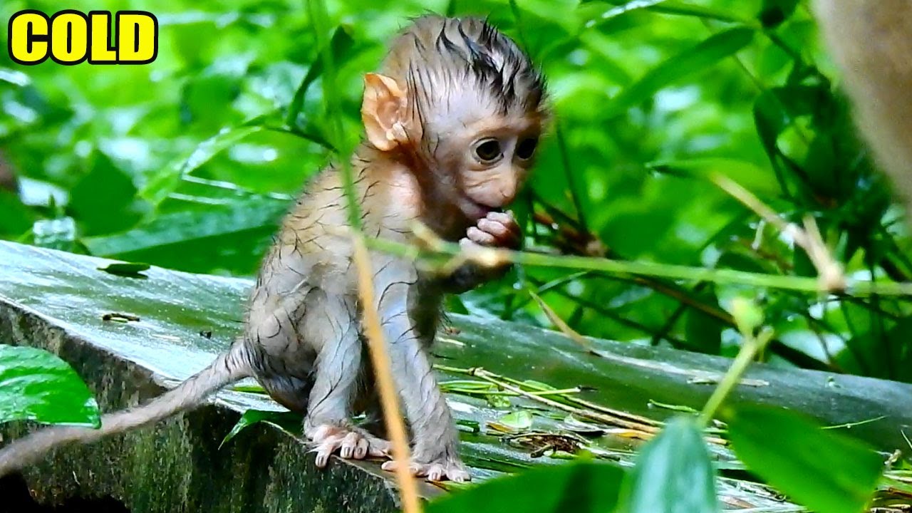 ARE YOU FINE BB RAINBOW? SHE IS FULL OF WATER AND SHE IS WET, HOPE ...