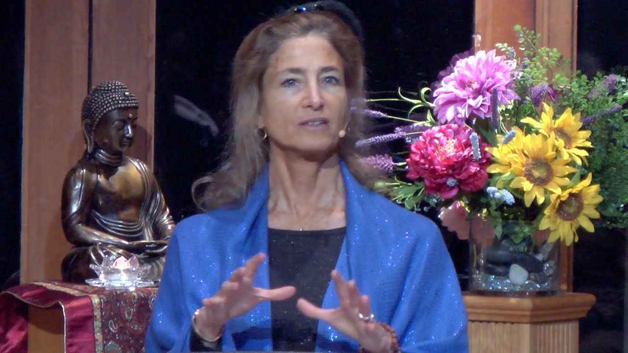 Tara Brach Discusses Desire as A Current of Homecoming - YouTube