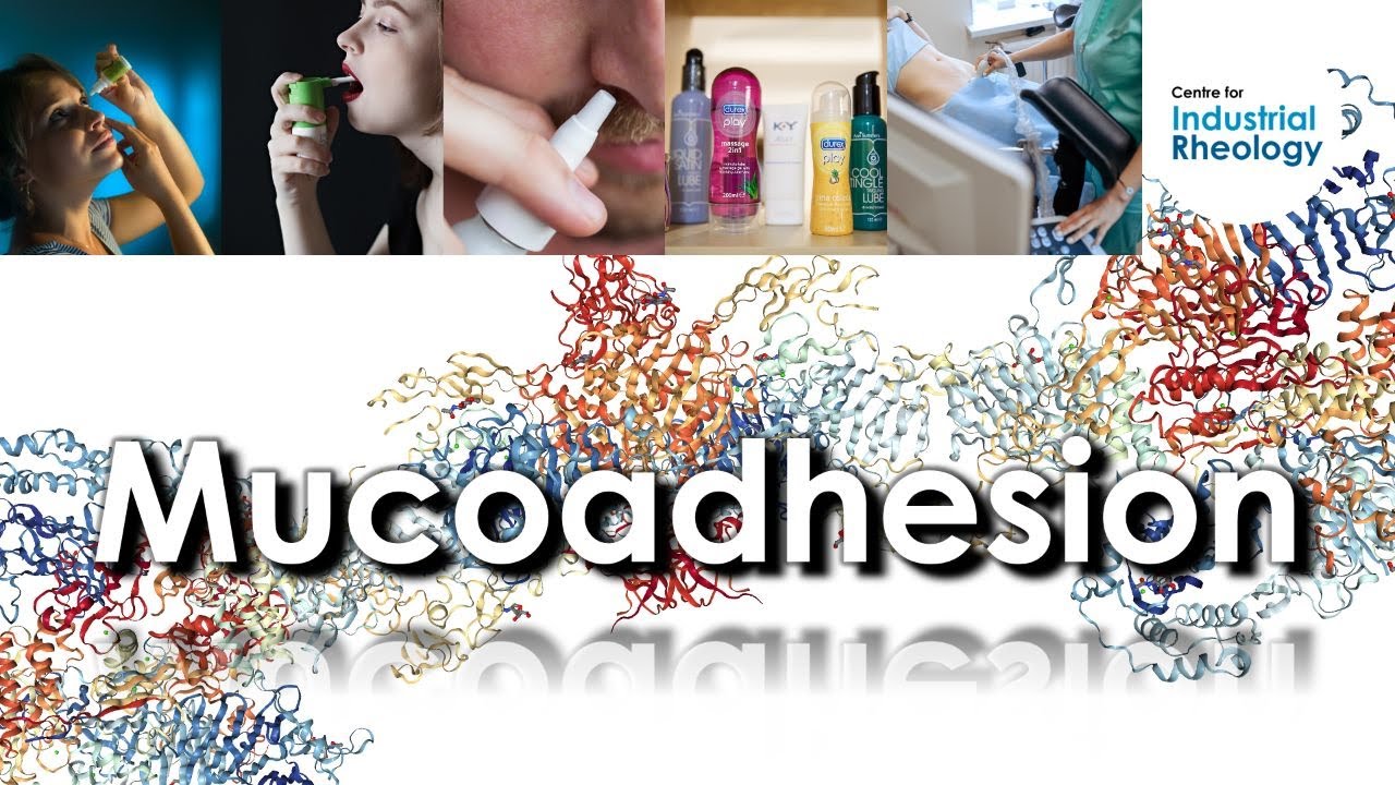 Mucoadhesion - Investigating rheological synergism of mucoadhesive ...