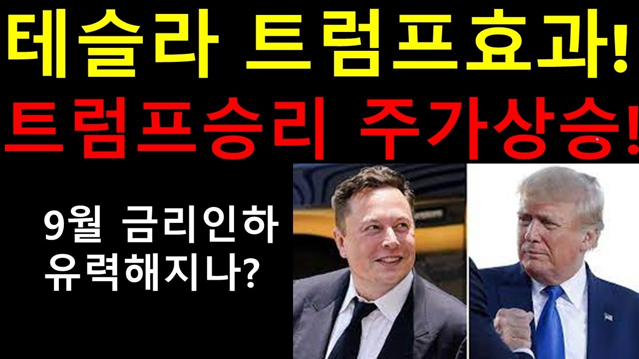 테슬라 트럼프 효과 나오나 트럼프 승리시 테슬라 주가 상승 시나리오 전기차 혐오하는 트럼프 머스크는 좋아하는 역설 결국