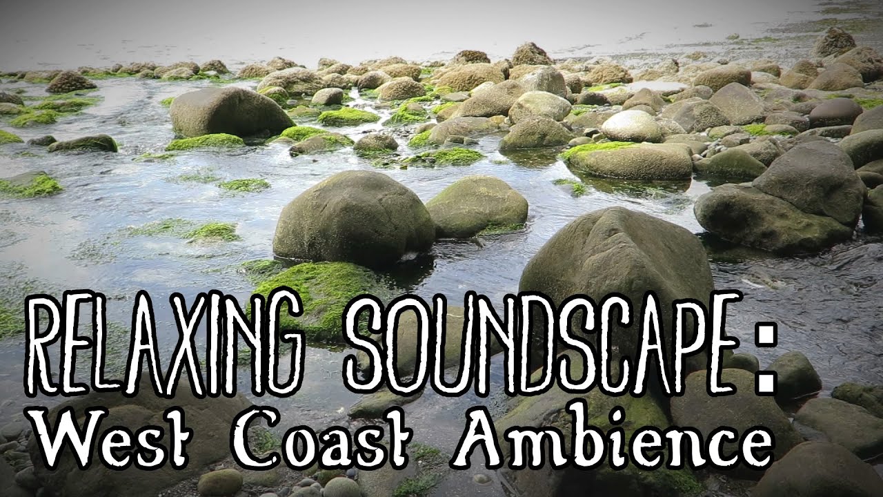 Relaxing Soundscape: West Coast Ambience (Nature Sounds) - YouTube