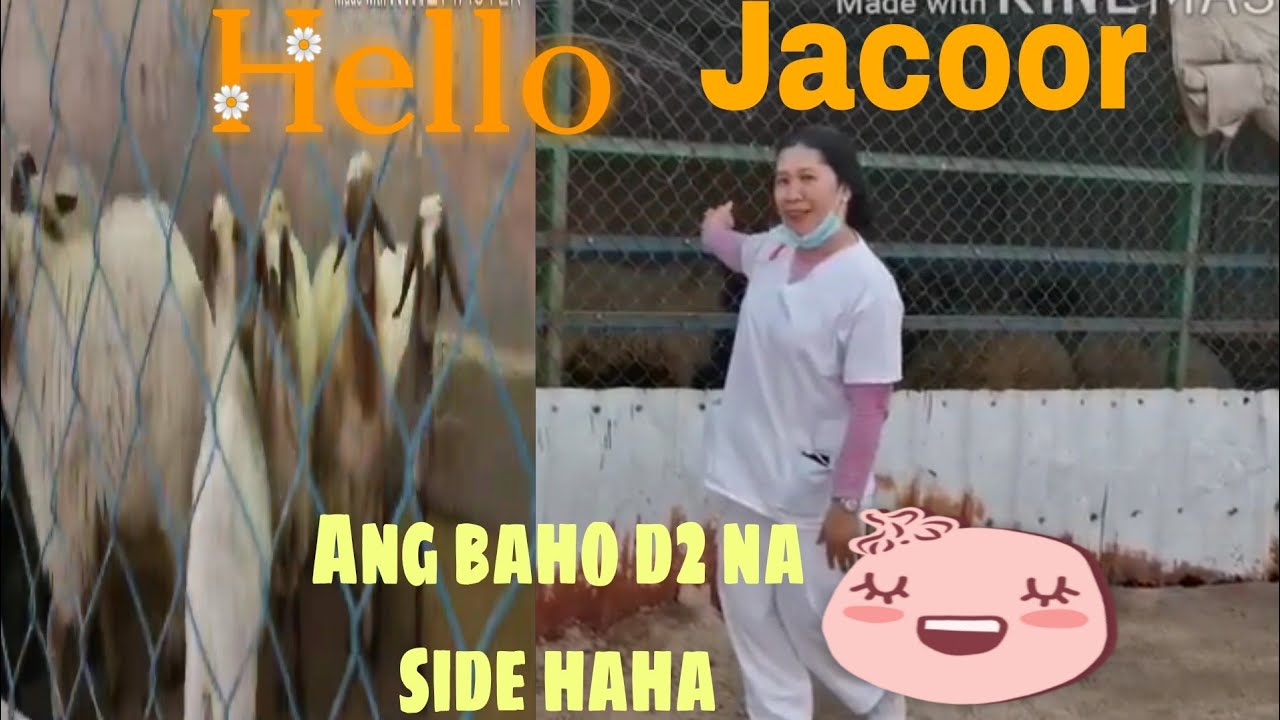 Jacor in kuwait - YouTube