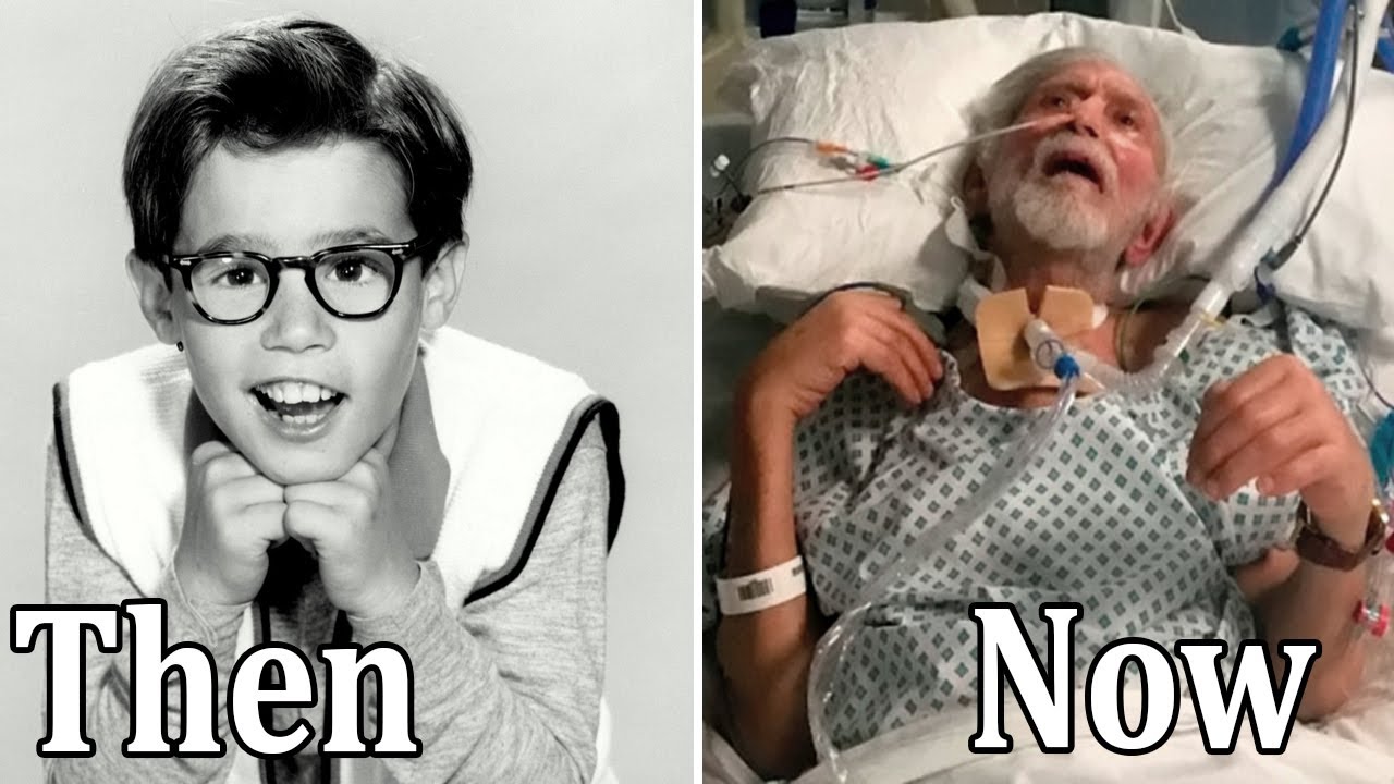 MY THREE SONS 1960 Cast THEN AND NOW 2022, The cast died tragically ...