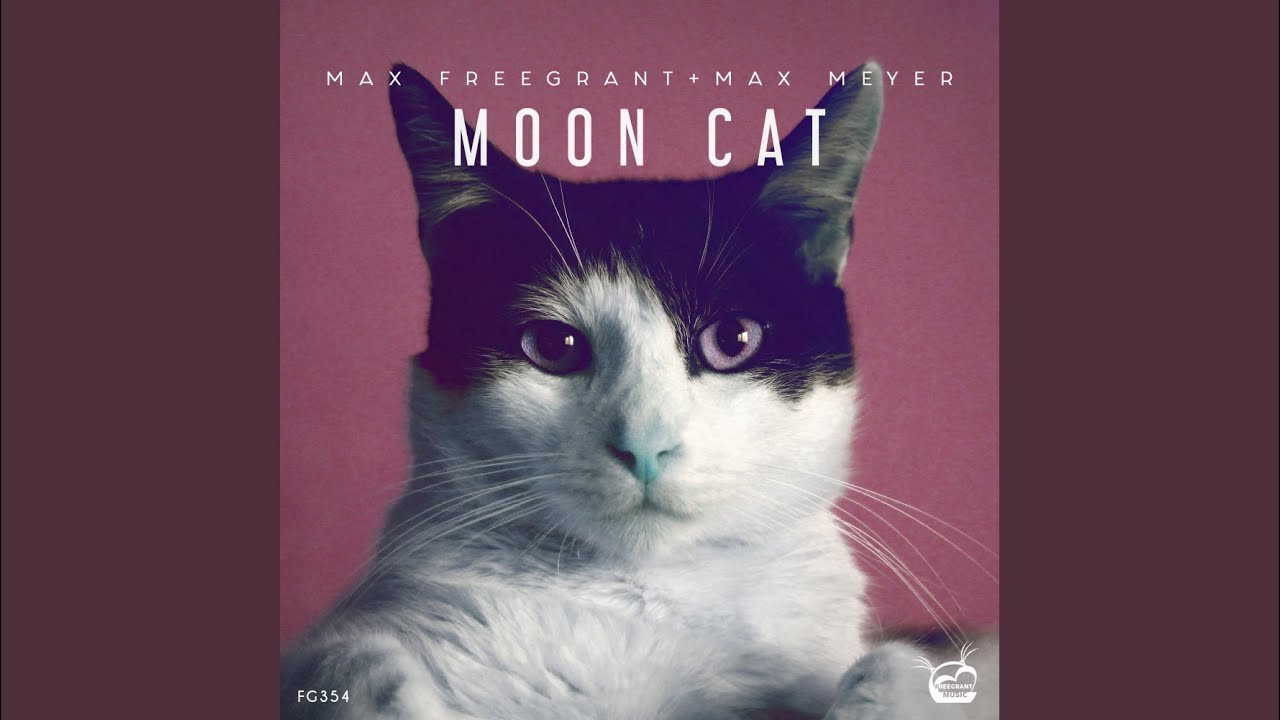 Moon Cat (Extended Mix) - YouTube