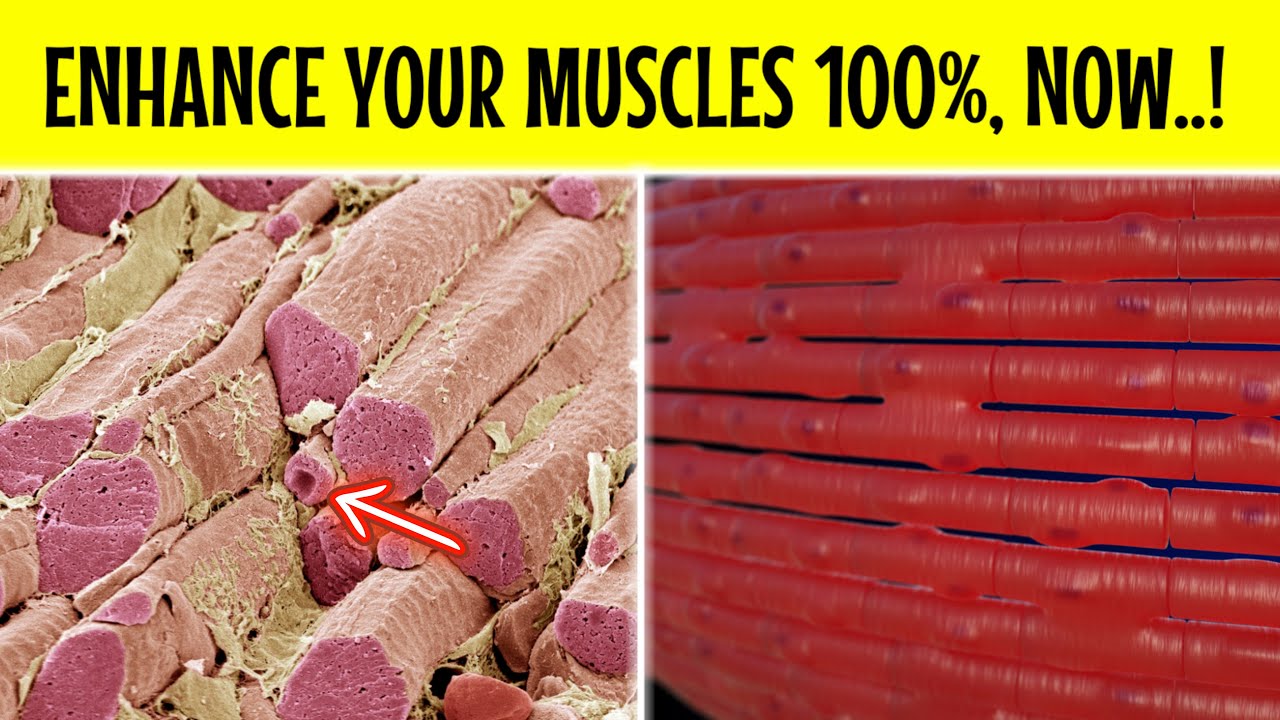 THESE TIPS WILL ENHANCE YOUR MUSCLES POWER | These Tips Will boost your ...