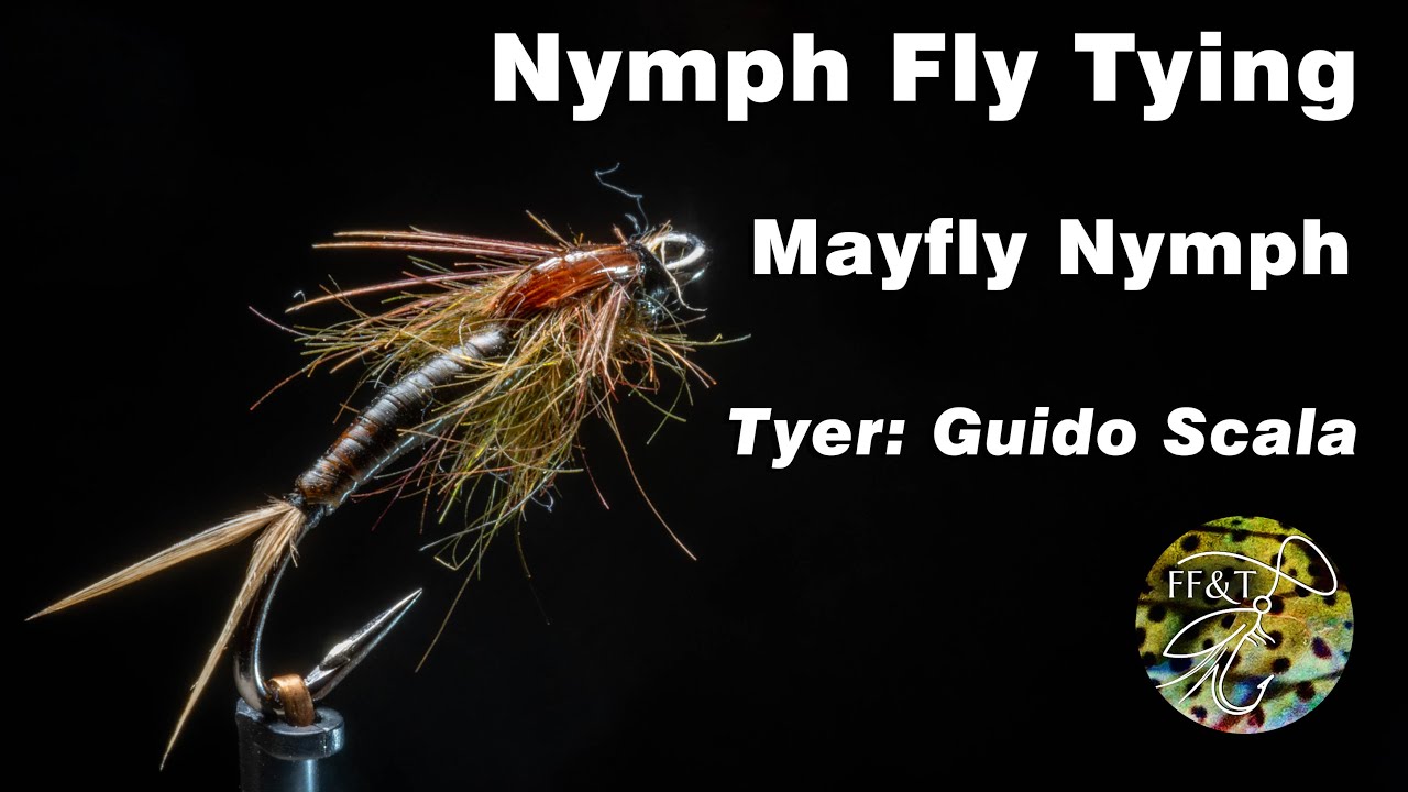 Nymph Fly Tying - Mayfly Nymph - YouTube