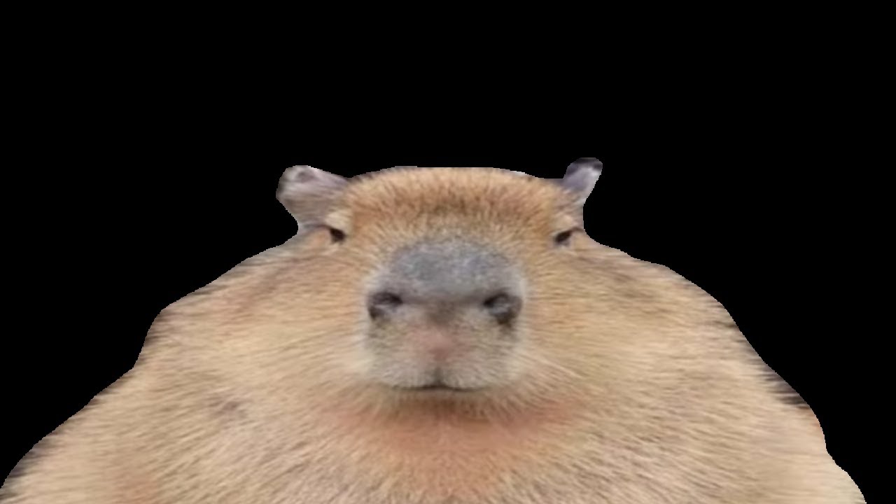 Gort needs your help to make a song - YouTube